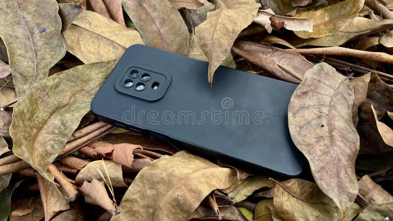 A Black Cell Phone Lay in a Pile of Fallen Brown Leaves. Stock Photo ...