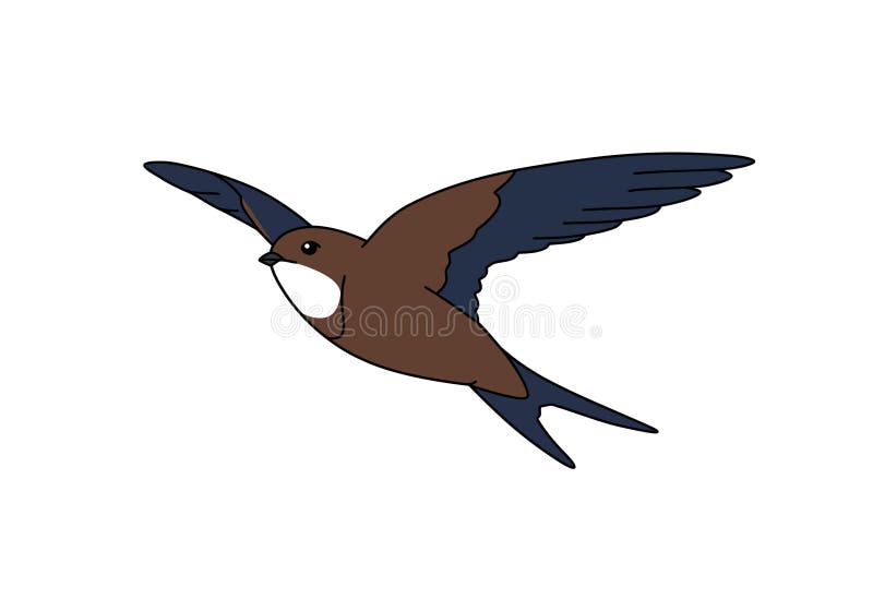 Swift bird clipart stock vector. Illustration of speed - 372846710