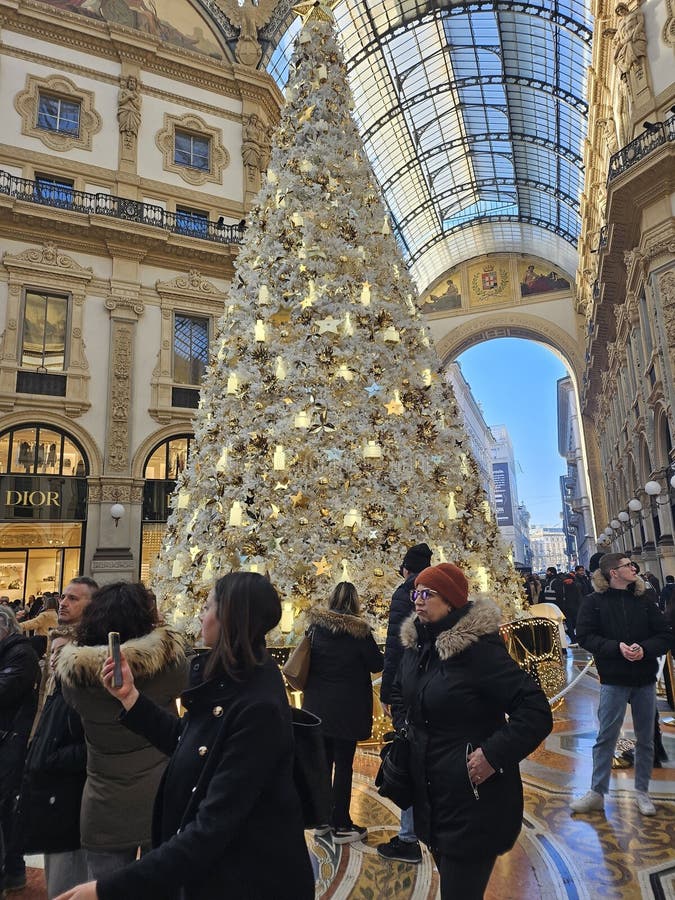 The Image Shows the 2024 Christmas Tree Inside the Galleria Vittorio ...