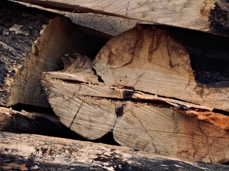 Internal Structure of an Electric Pump for Wells Stock Image - Image of ...
