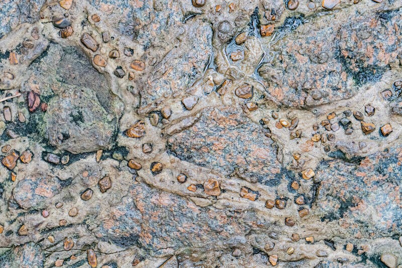 Image Shows a Close-up View of a Layered Rock with Circular, Bubble ...