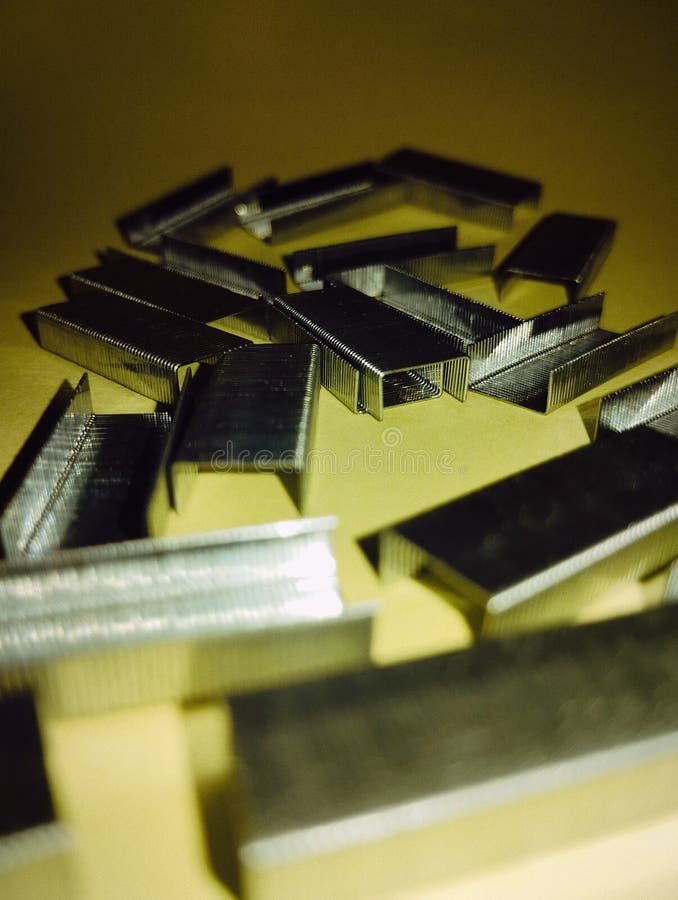 Image Shows a Wooded Area with Trees Stock Image - Image of damaged ...