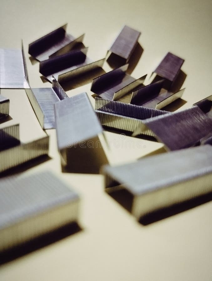 Image Shows a Wooded Area with Trees Stock Image - Image of damaged ...