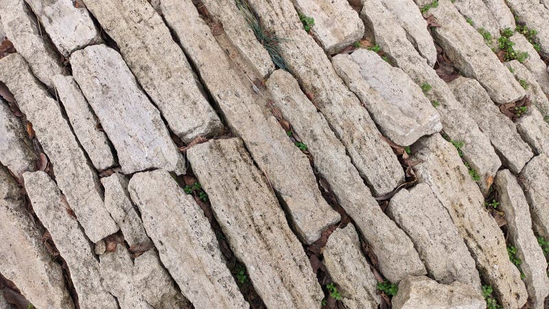 Beautifully Textured Stone Pathway Enhanced with Lush Greenery Accents ...