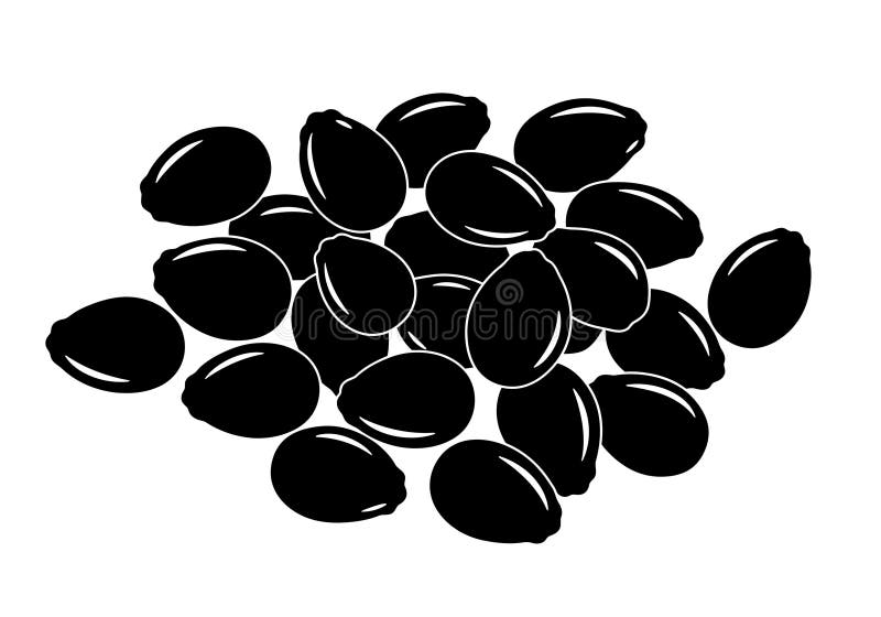 Watermelon seed clip art stock vector. Illustration of element - 372685497