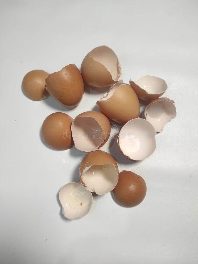 Egg Shells Scattered on a White Surface Stock Image - Image of dessert ...