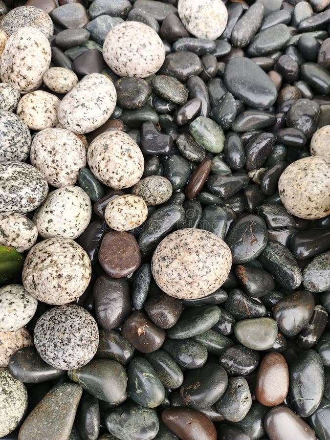 The Image Shows a Collection of Smooth, Wet Pebbles and Stones. Stock ...