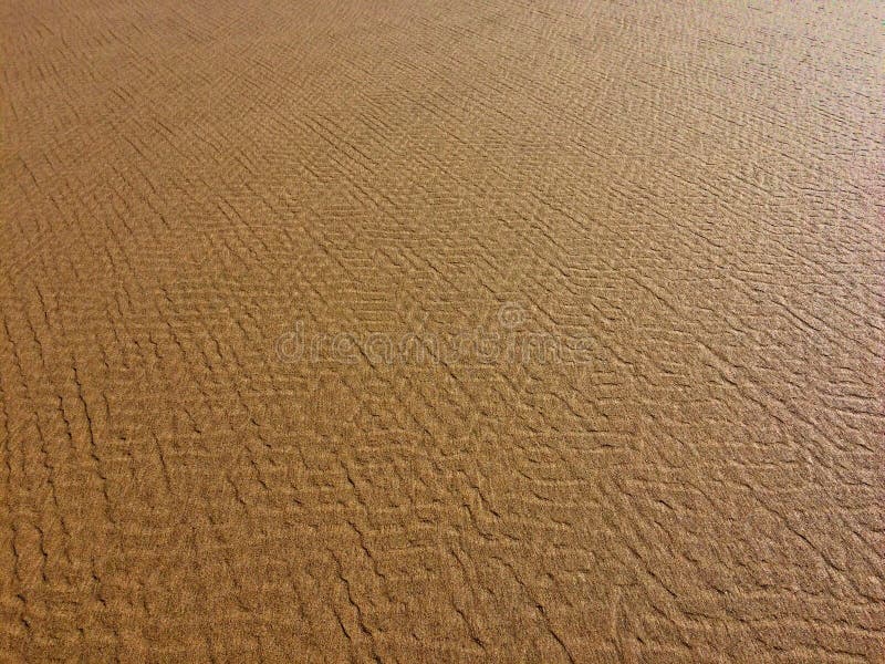 The Image Shows a Detailed Brown Surface with a Complex Pattern that ...