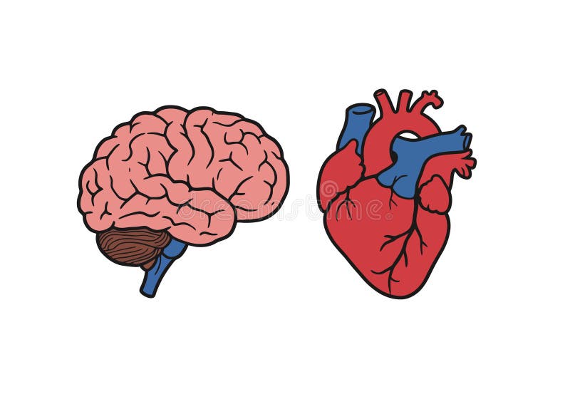 Brain and heart clipart stock illustration. Illustration of clipart ...