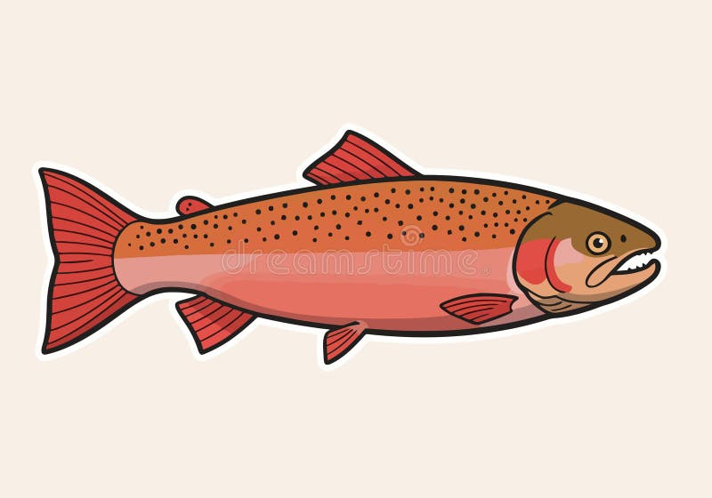 Salmon illustration. stock photo. Illustration of detailed - 360270220