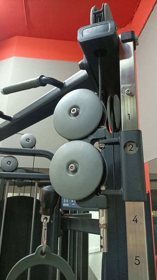 The Pulley System for Weights at the Gym Designed for Effective ...