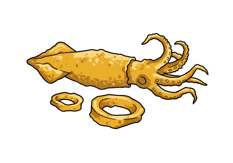 Calamares clipart stock vector. Illustration of ocean - 368721562