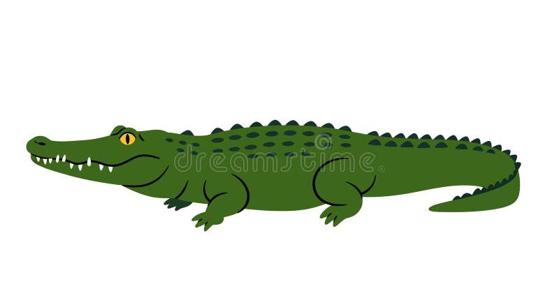 Clip art gator stock vector. Illustration of teeth, wildlife - 365241147