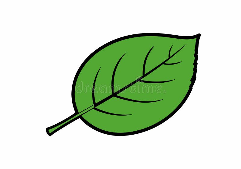 Apple leaf clip art. stock photo. Illustration of organic - 362317996