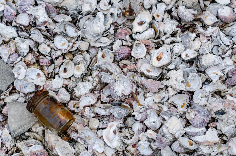 Textured Surface of Numerous Oyster Shells with Glass Bottle Stock ...