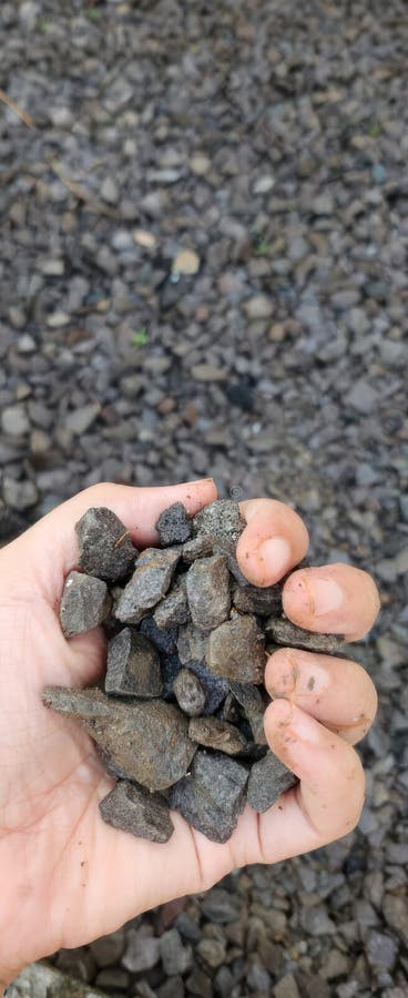 The Image Shows a Hand Holding a Small Collection of Dark Grey Gravel ...