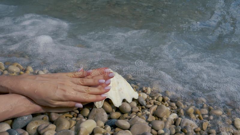 The Image Shows Hands with a Fresh Manicure Gently Holding a Shell on a ...
