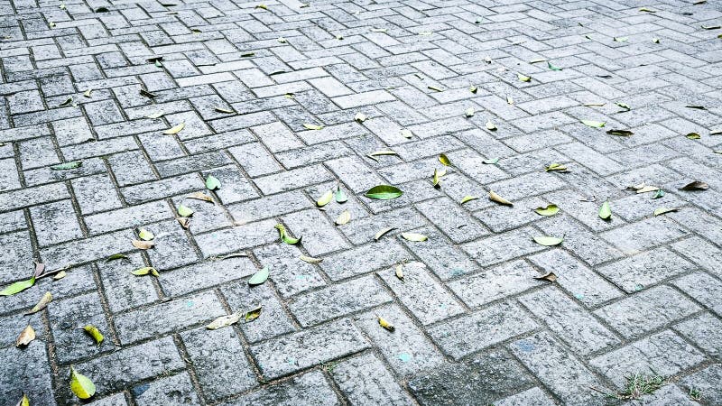 Herringbone Brick Pavement with Fallen Leaves Stock Photo - Image of ...
