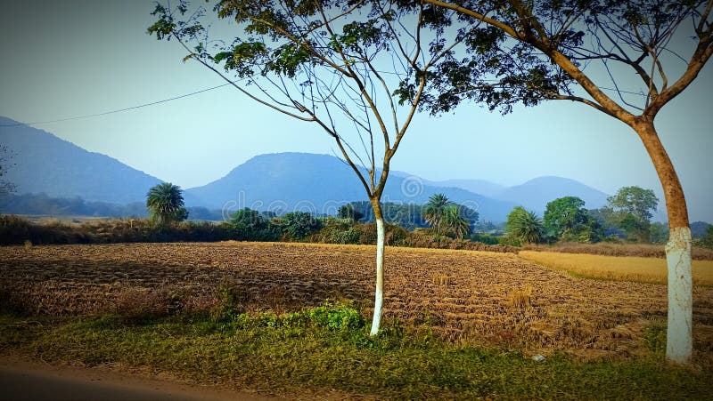 The Image Shows a Landscape of a Field with Two Trees in the Foreground ...