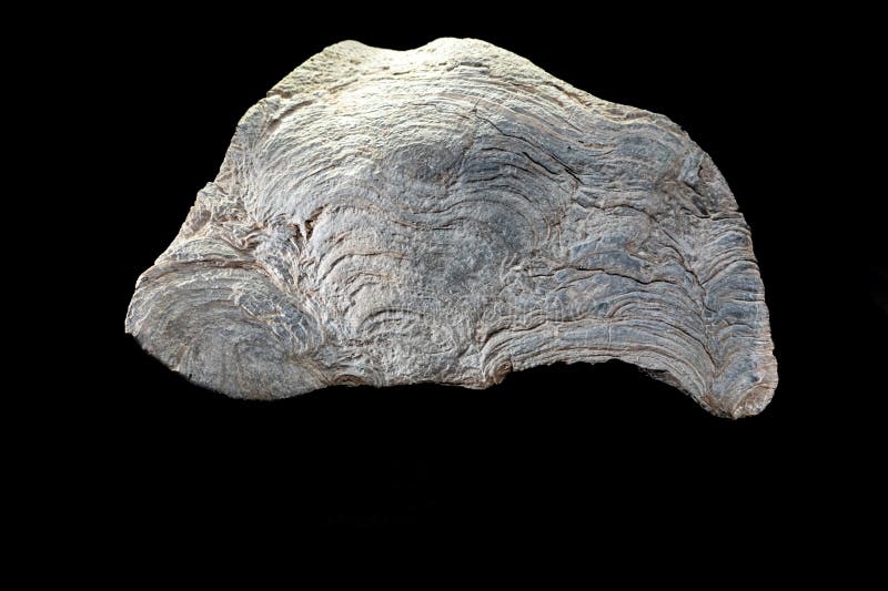 A Large, Irregularly Shaped Rock or Stone Sample on a Black Background ...