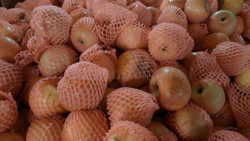 Fresh Apples in Protective Netting Stock Image - Image of abundance ...