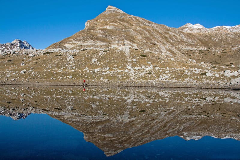 123 No One's Perfect Stock Photos - Free & Royalty-Free Stock Photos ...