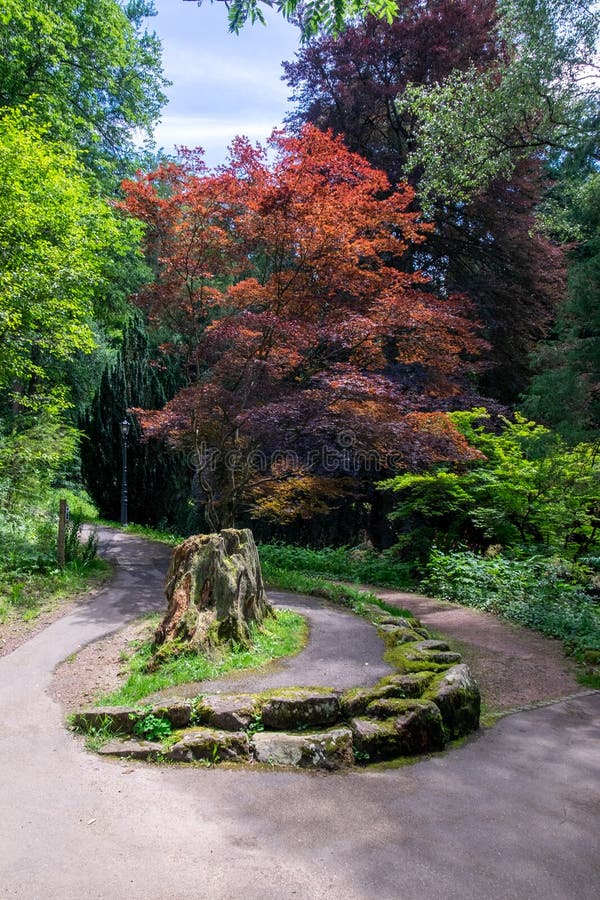 The Image Shows a Narrow Path Stretching into the Distance, Inviting ...