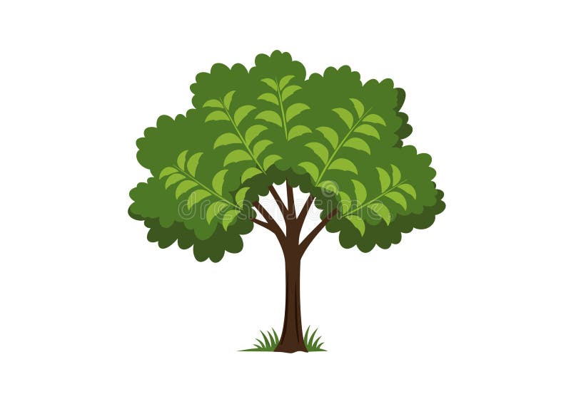 Neem tree clip art stock vector. Illustration of leaf - 365704450