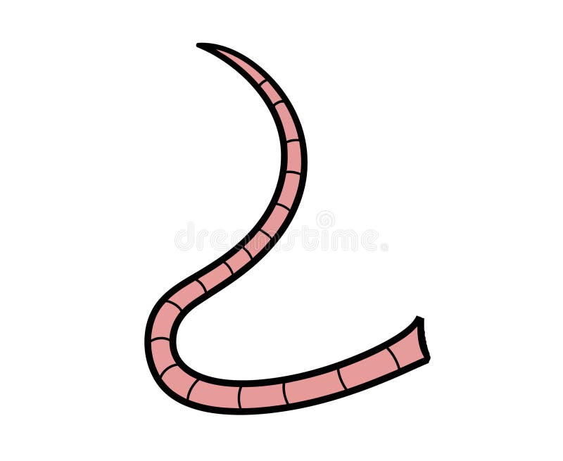 Mouse tail clipart stock illustration. Illustration of anatomy - 372684412