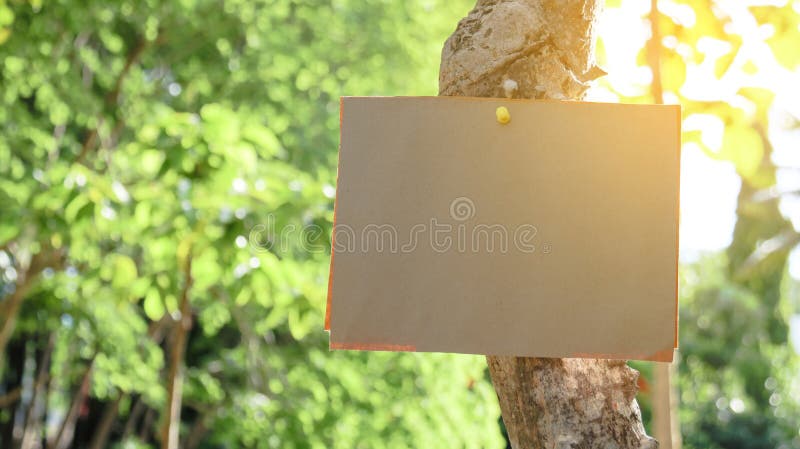 Good Front Brochure Stock Photos - Free & Royalty-Free Stock Photos ...