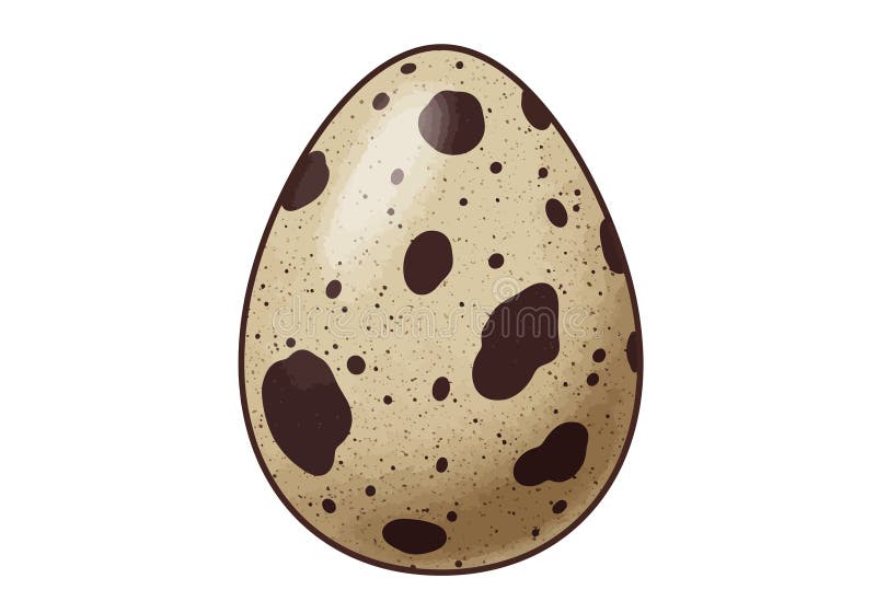 Quail egg clipart stock vector. Illustration of aesthetic - 369206630