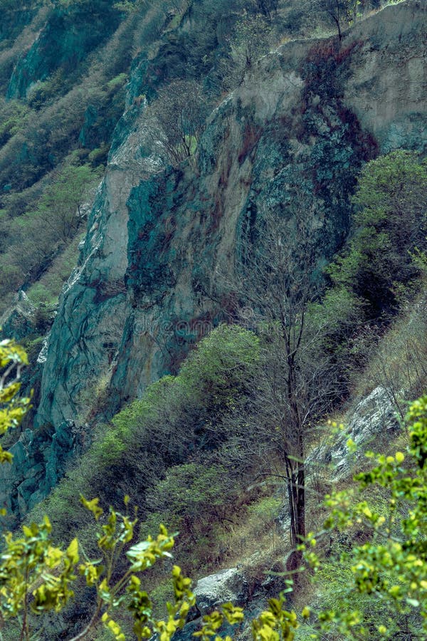 A Rocky Cliffside with Various Shades of Green Vegetation at Its Base ...