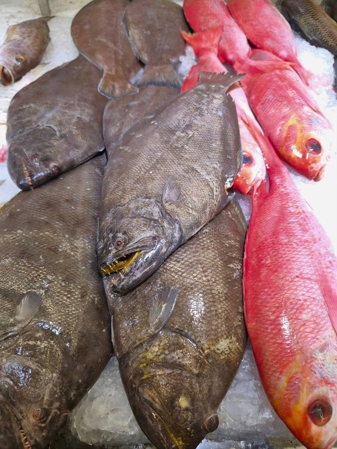 Anatomy Eye Red Eyes Stock Photos - Free & Royalty-Free Stock Photos ...