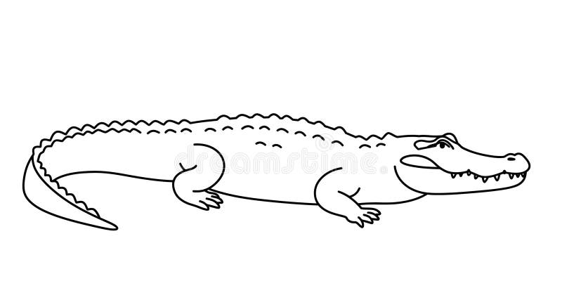 Alligator outline clipart stock vector. Illustration of teeth - 365241123