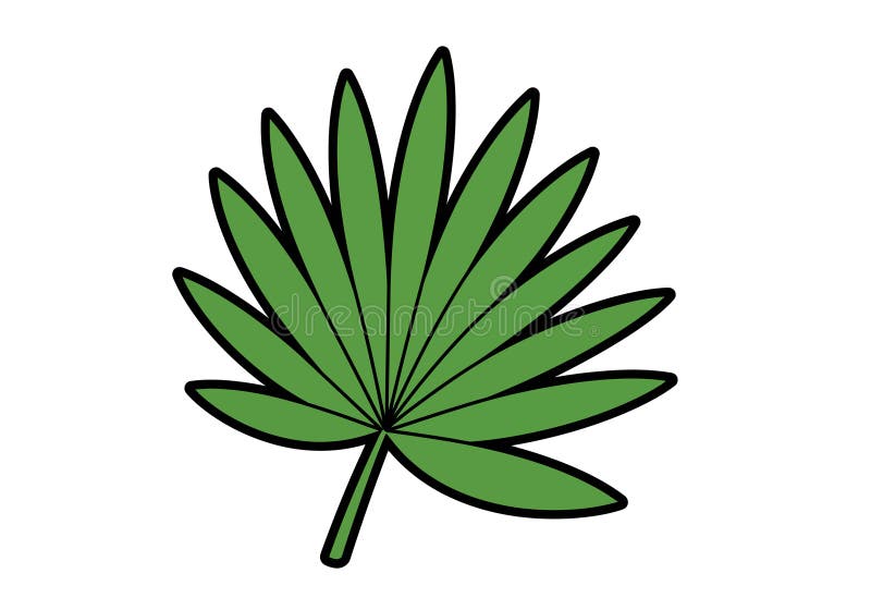 Palm leaf clip art. stock illustration. Illustration of organic - 362320854