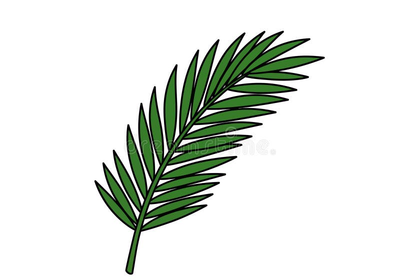 Palm leaf clipart. stock illustration. Illustration of decoration ...