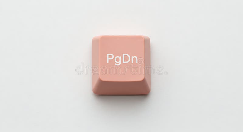 Pink PgDn Keyboard Key stock illustration. Illustration of page - 382433047
