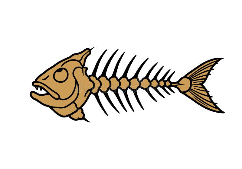 Fish bone illustration. stock image. Illustration of head - 360270063