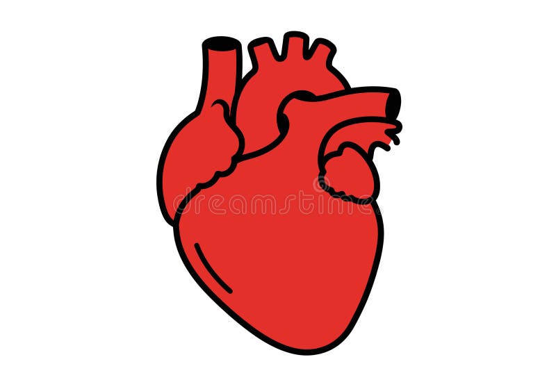 Healthy heart clip art stock illustration. Illustration of concept ...