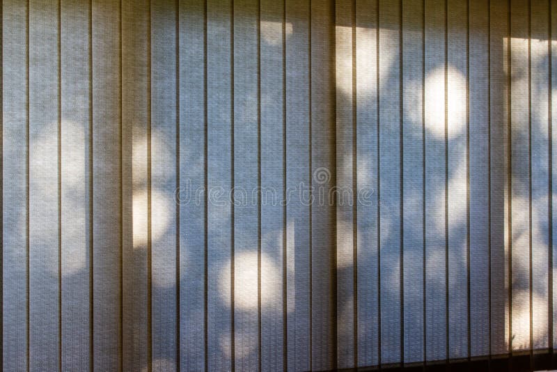 Tree Shadows with Bokeh Cast Onto Window Blinds Stock Photo - Image of ...