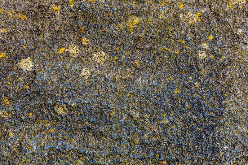 This Image Shows a Textured Rock Surface with Vibrant Color Variations ...
