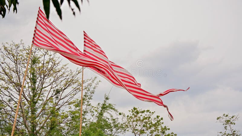 The Image Shows Three Red and White Striped Flags Waving in the Wind ...