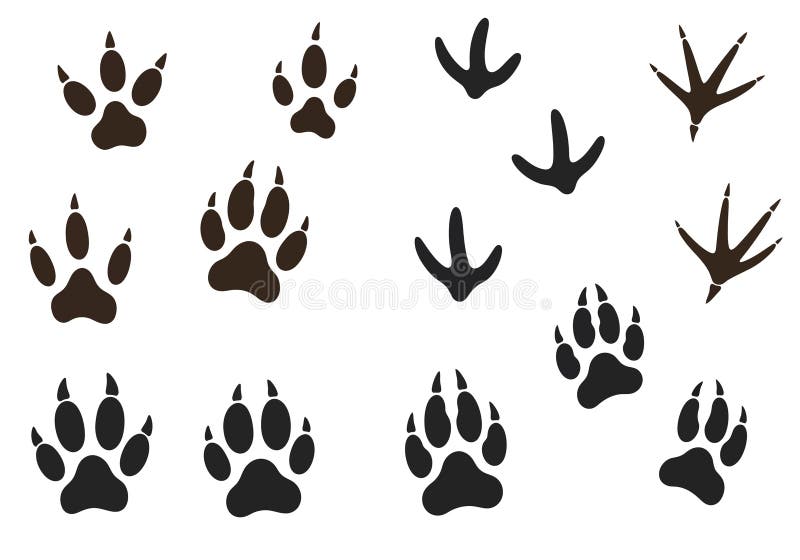 Animal track clip art stock illustration. Illustration of avian - 367277358