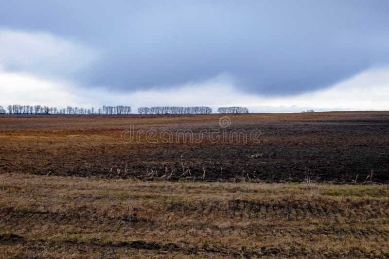 The Image Shows a Vast, Barren Field with a Line of Trees in the ...