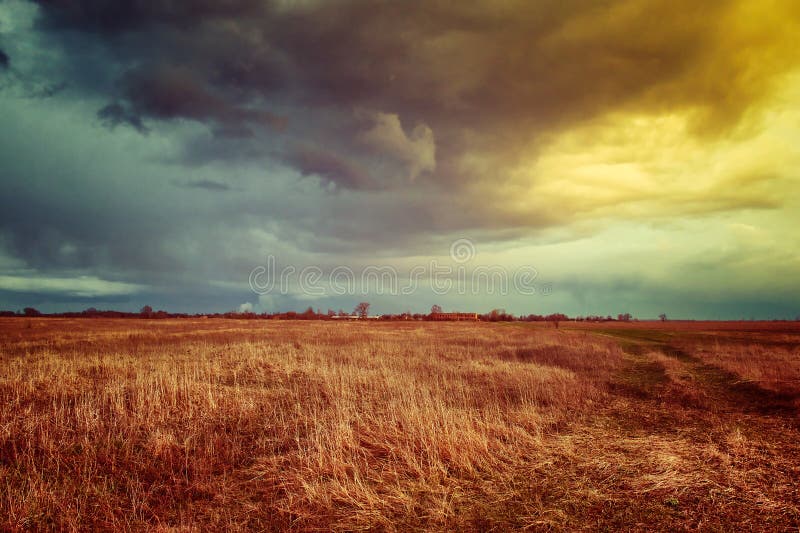 The Image Shows a Vast Field with Dry Grass Under a Dramatic Sky Filled ...