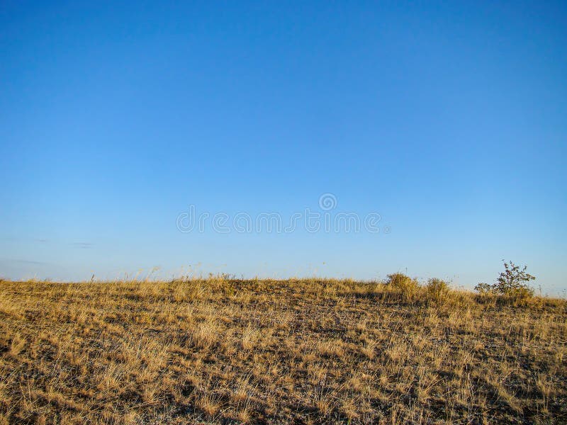 Image Shows a Vast, Sunny Savannasemi-arid Plains with Sparse ...
