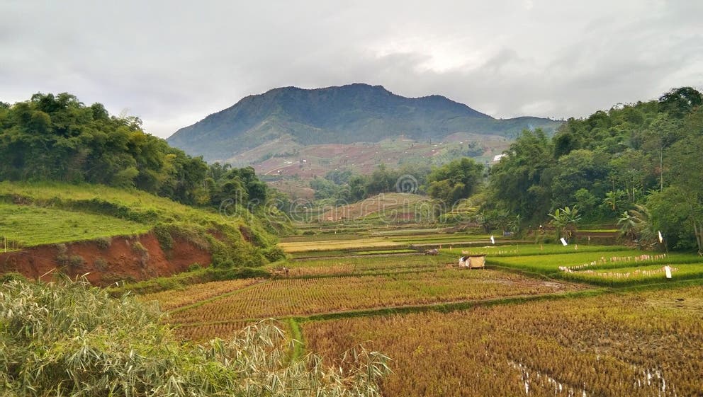 The Image Shows a View of Mount Pacet Which is Located on the Border of ...