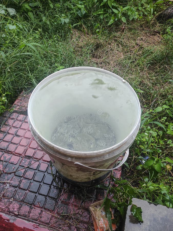 Rainwater Collected in a White Plastic Bucket Stock Image - Image of ...