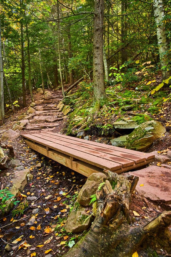 Side View of Hiking Trail in Fall Forest with Focus on Wood Plank ...