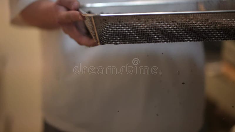 Sifting Chaff Off Roasted Coffee Beans Stock Footage - Video of luxury ...